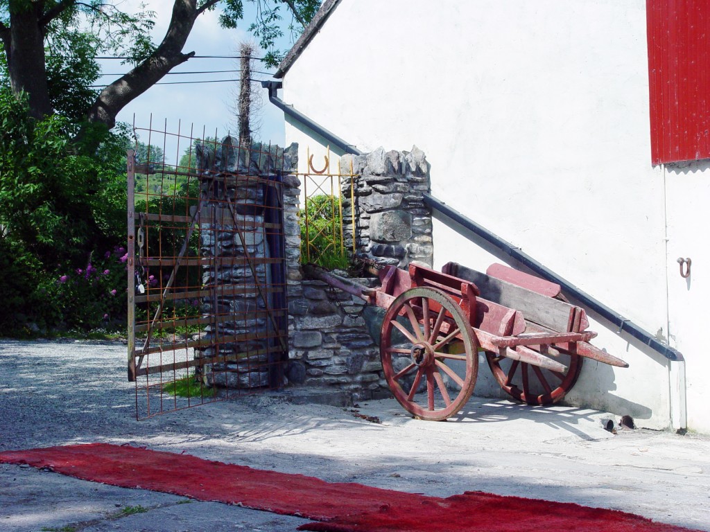 Rides to discover Kenmare Bay - Dromquinna Stables