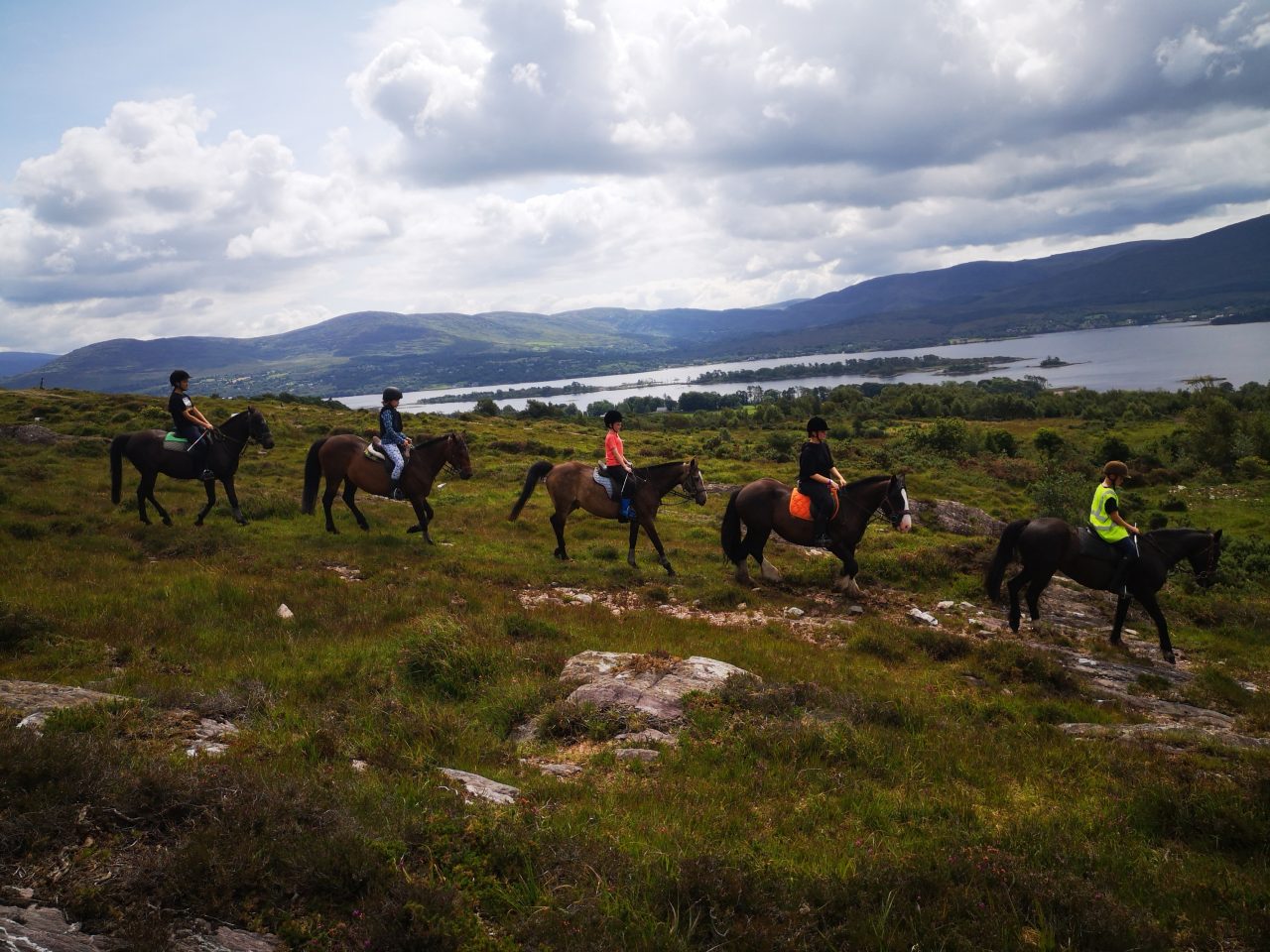 Rides to discover Kenmare Bay - Dromquinna Stables